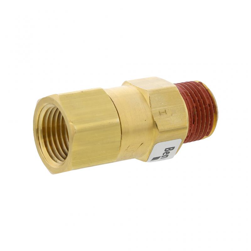 Mack Check Valve, 800372