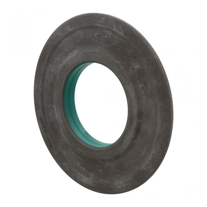 Navistar Pinion Oil Seal, 2503294C1