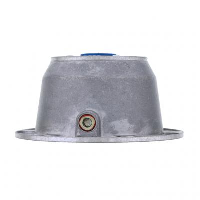 Mack Hubcap, 7843-3434195