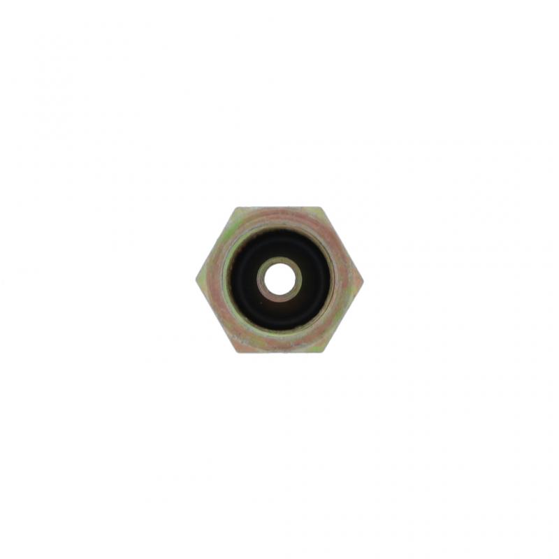 Cummins Adapter With Seal, 3919687