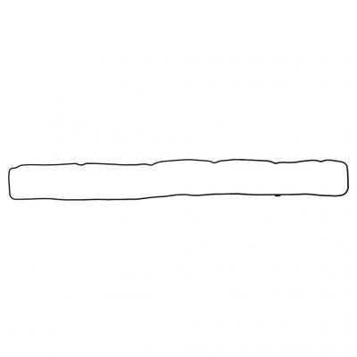 Mack Molded Gasket, 20463858