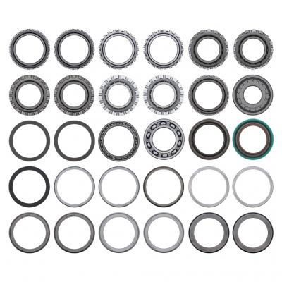 Navistar Bearing And Seal Kit, 1695391C91