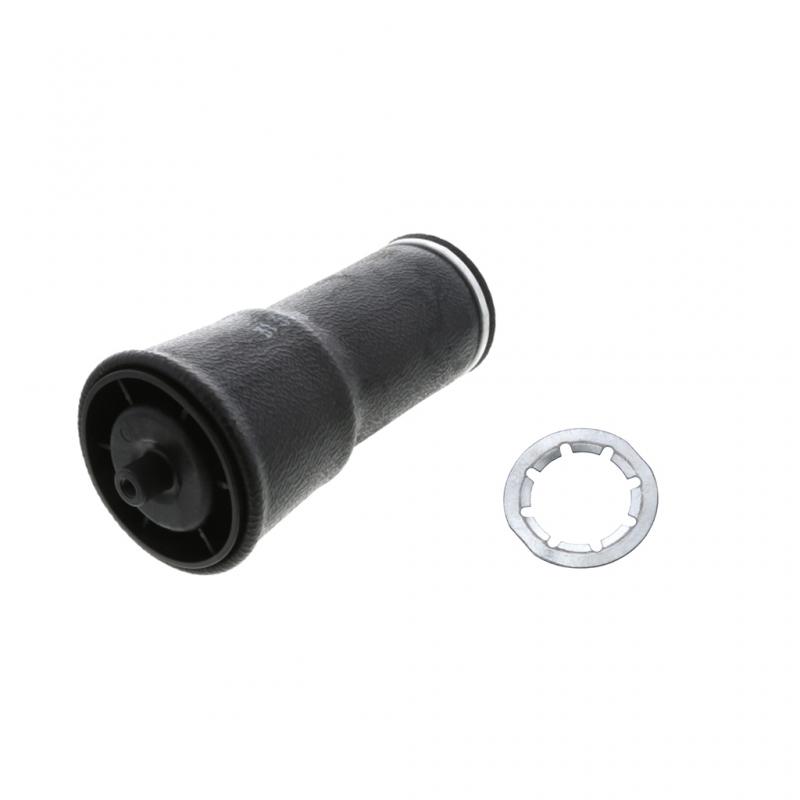 Mack Air Spring Kit, 227QS310M2