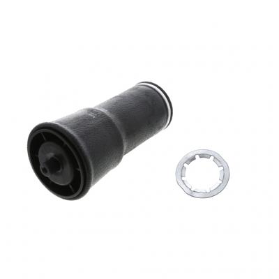 Mack Air Spring Kit, 227QS310M2